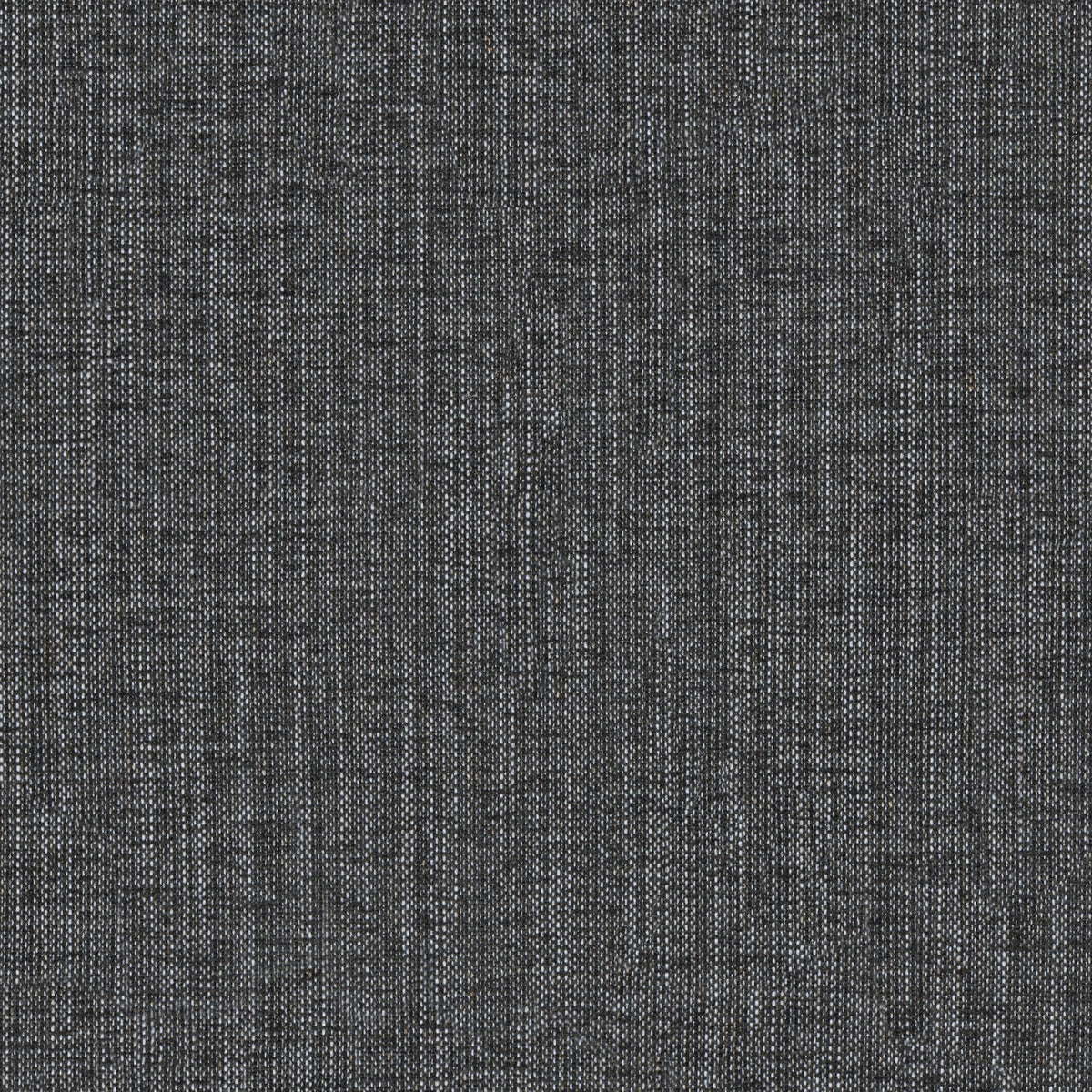 Nomad, Fabric By The Yard – abc carpet & home