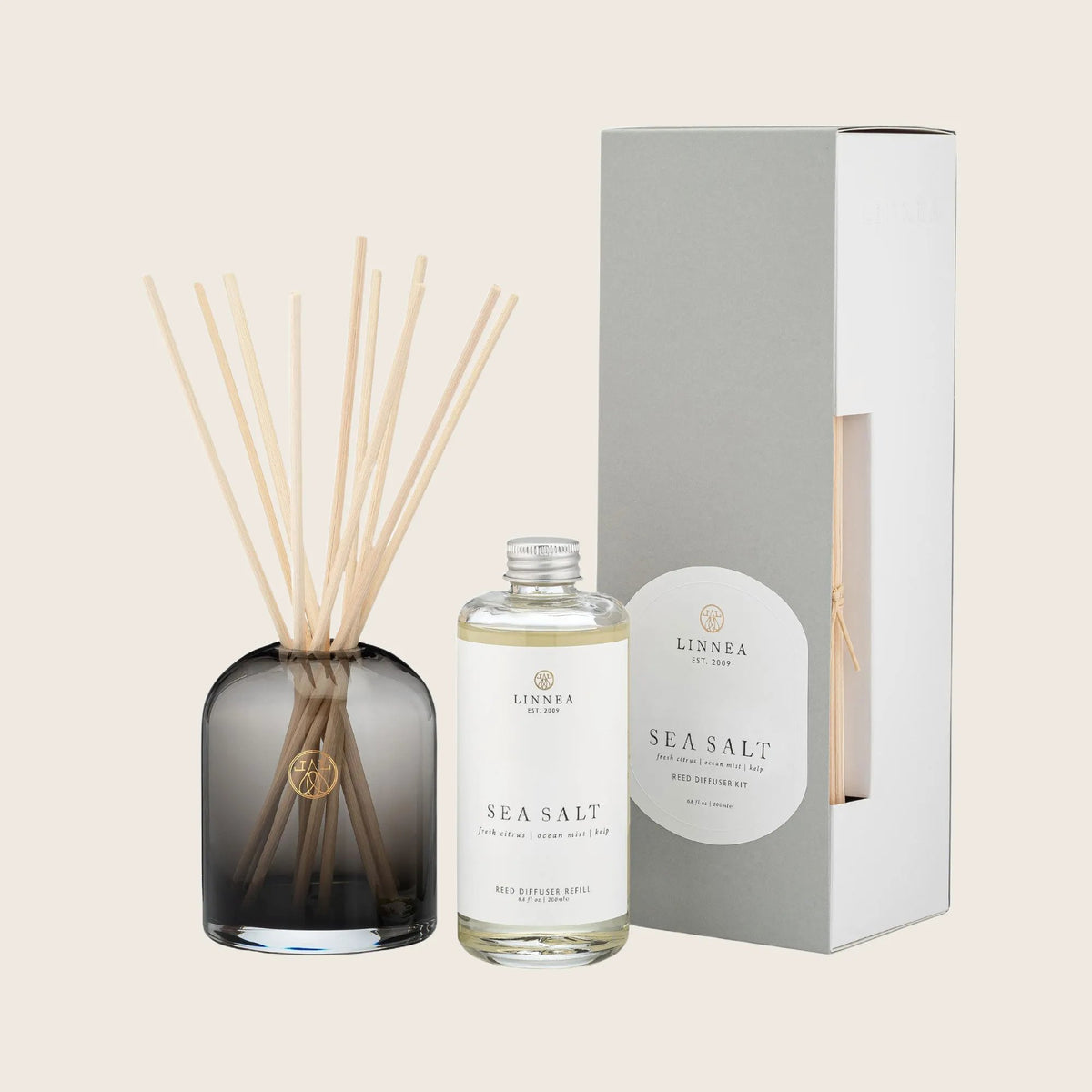 Sea Salt Reed Diffuser Kit – abc carpet & home