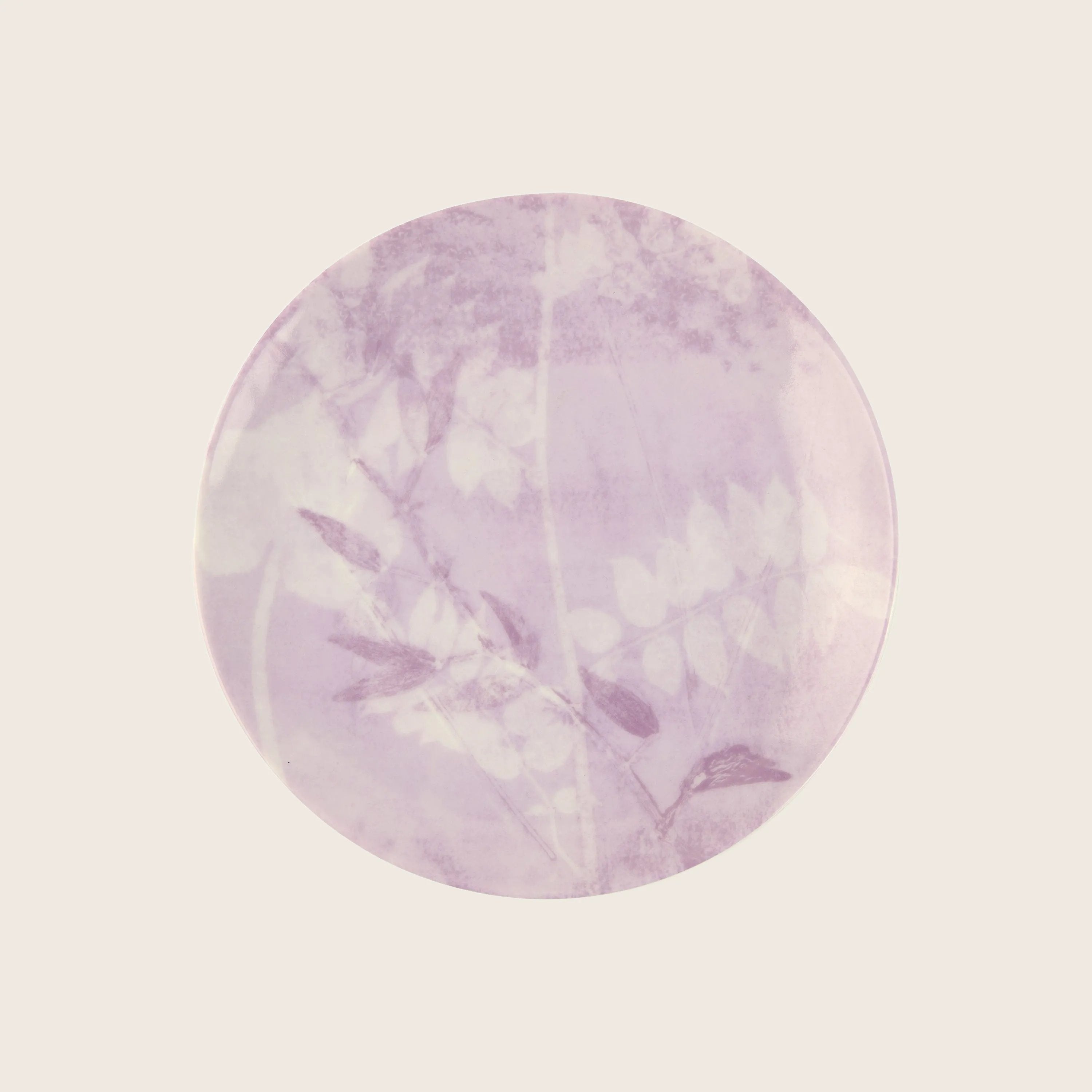 Botanique Dinner Plate – abc carpet & home