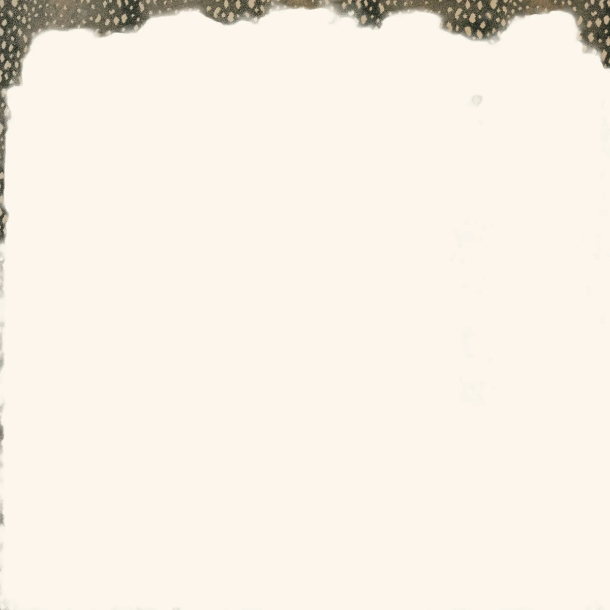 Antilocarpa Face-To-Face Wilton Carpet, Mushroom – abc carpet & home