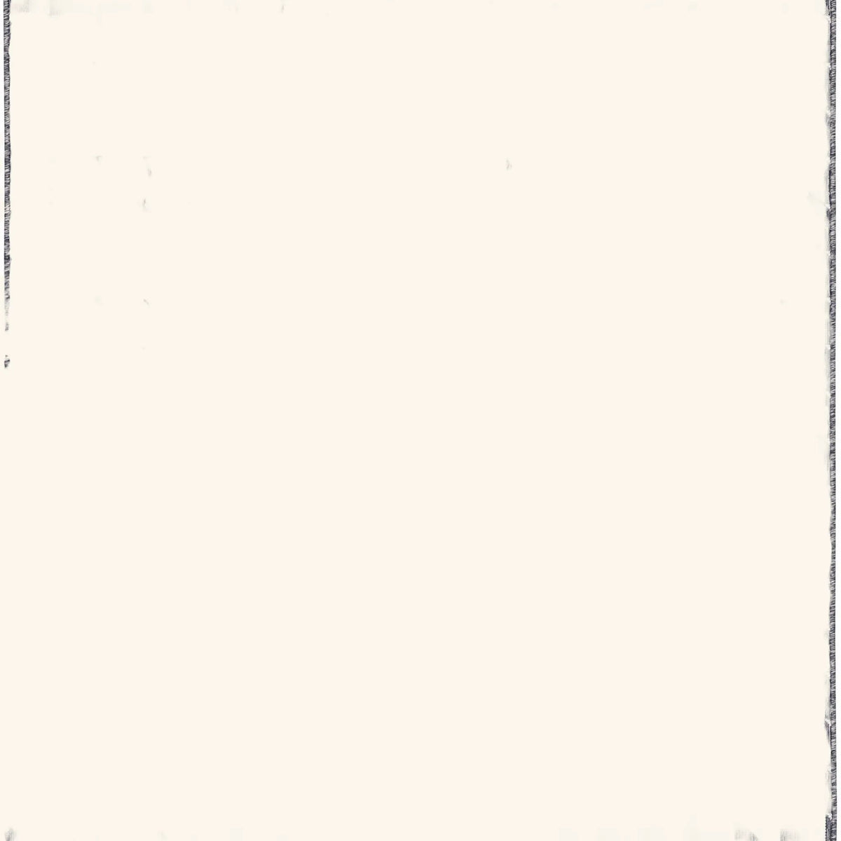 Dempsey Wilton Carpet, Pepper – abc carpet & home